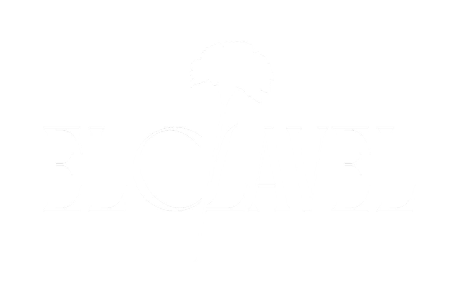 Tienda - El Clavel Flamenco
